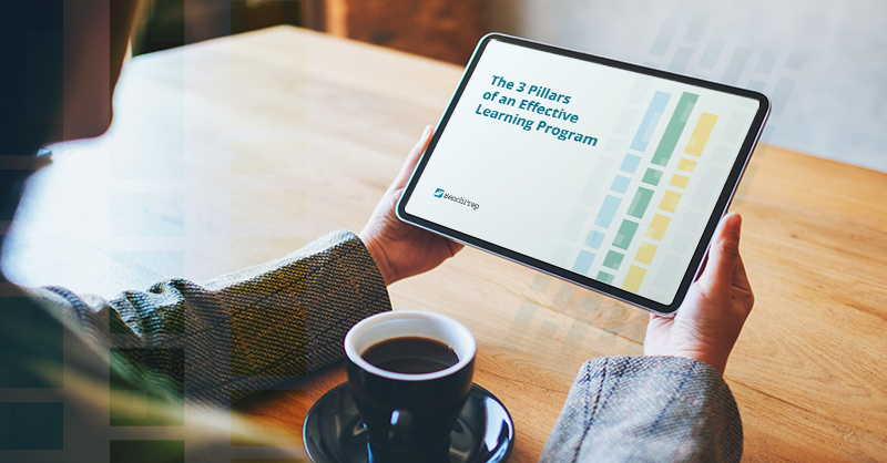 The 3 Pillars of an Effective Learning Program